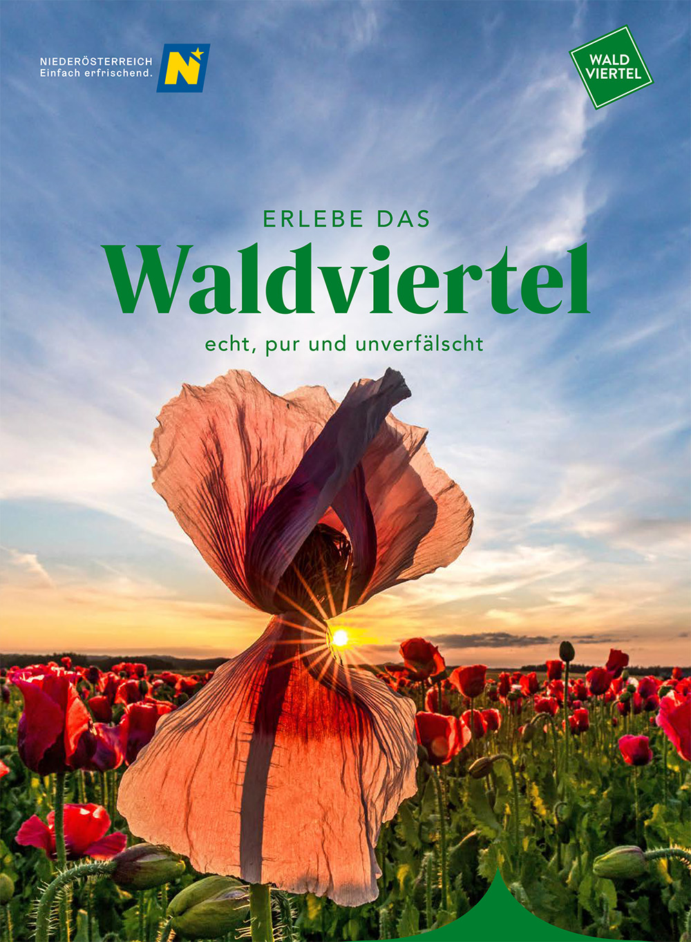 Erlebe das Waldviertel echt, pur und unverfälscht - Prospekte bestellen